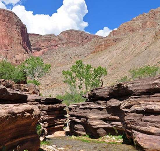 Grand Canyon Scenic Drives from North Rim to South Rim